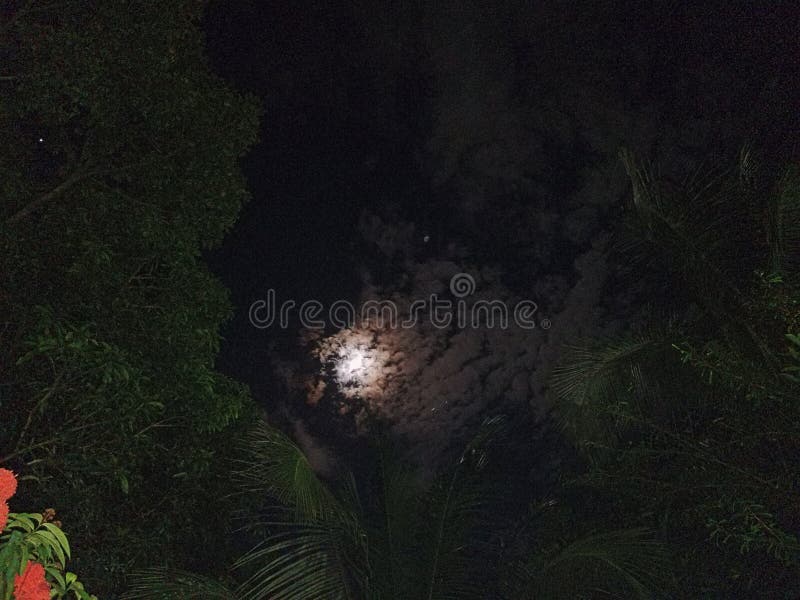 Beautiful Night Sky Low Angle Shot. Stock Image - Image of cloudy ...