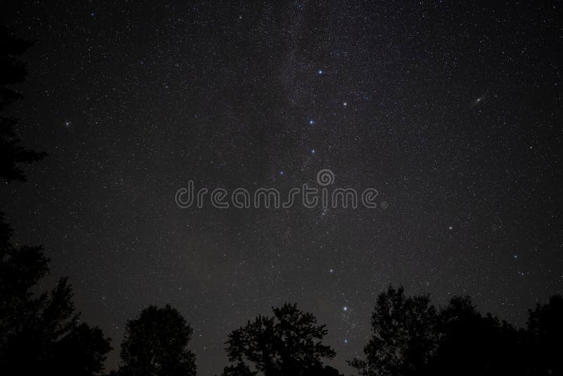 Beautiful Night Sky with Shining Stars Over Silhouetted Trees Stock ...