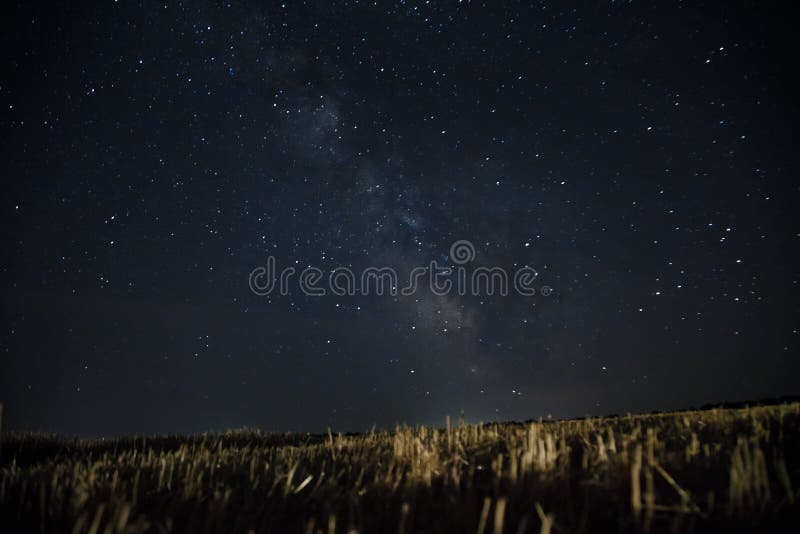 Open Field At Night