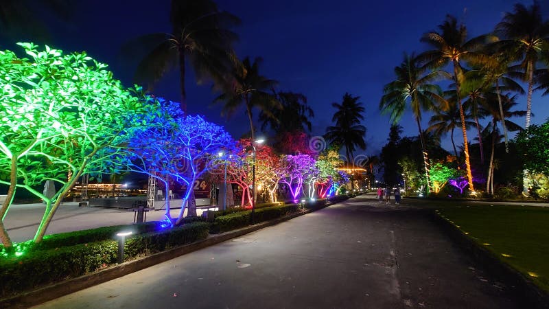 Beautiful Night View of a Hotel with Amazing Lights Stock Image - Image ...