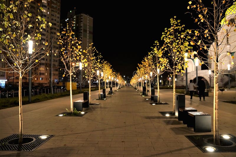 Night perspective stock photo. Image of beautiful, walking - 204120016