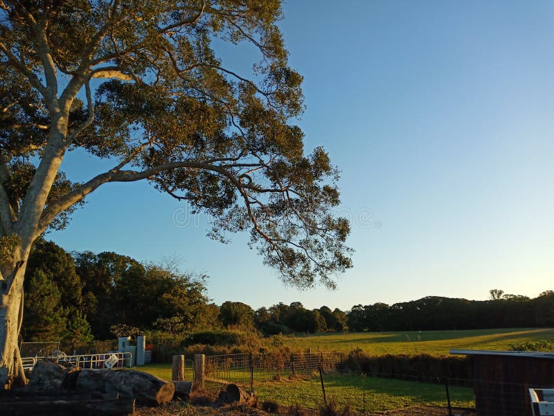 Beautiful. No Filter Needed. Stock Photo - Image of australia ...