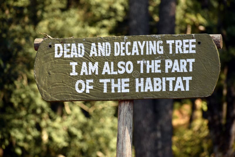 Beautiful Notice Board on Wood Stock Image - Image of natural, nainital ...