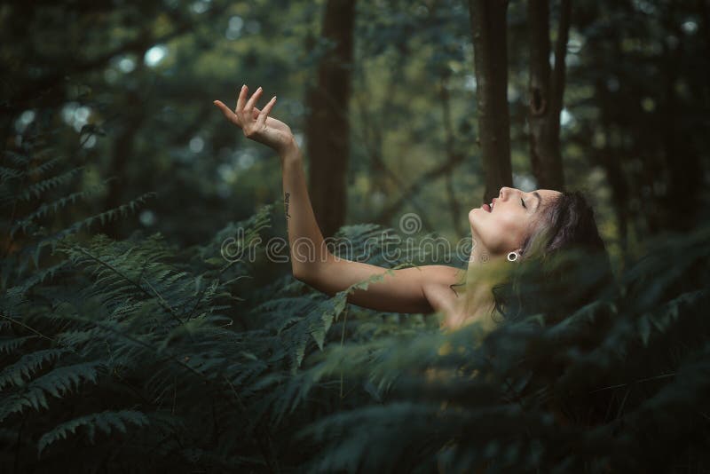 Dreamy Light Over Forest Nymph Stock Photo - Image of dryad, beautiful ...
