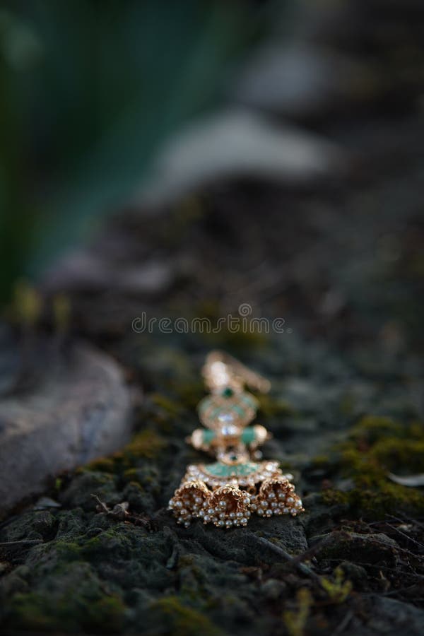 Beautiful Object in the Ground Stock Photo - Image of water, animal ...