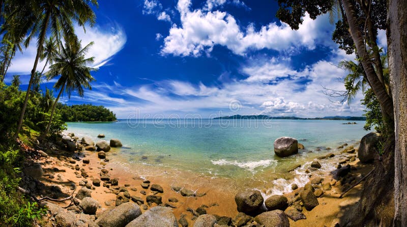 A beautiful ocean stock image. Image of beach, plant - 25940907