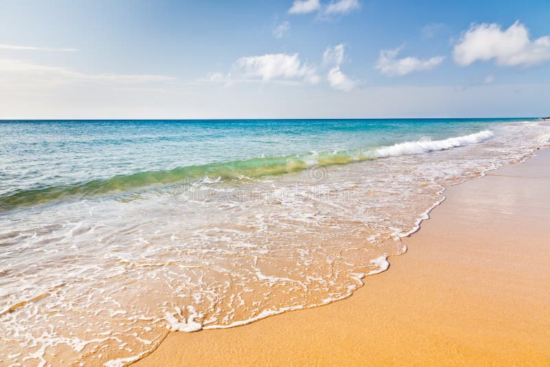 Beautiful Ocean Waves by the Rocky Cliffs - with the Color Palette ...