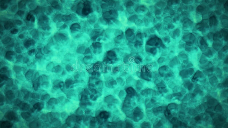 Beautiful Ocean Bottom Background. the Rays of the Sun Make Their Way ...