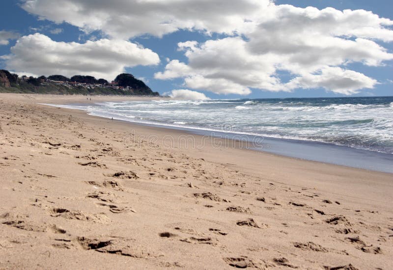 Beautiful Ocean Landscape with Bright Sky Stock Image - Image of palm ...