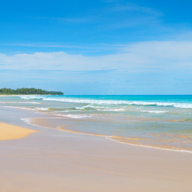 Beautiful Ocean, Long Sandy Beach Stock Image - Image of picturesque ...