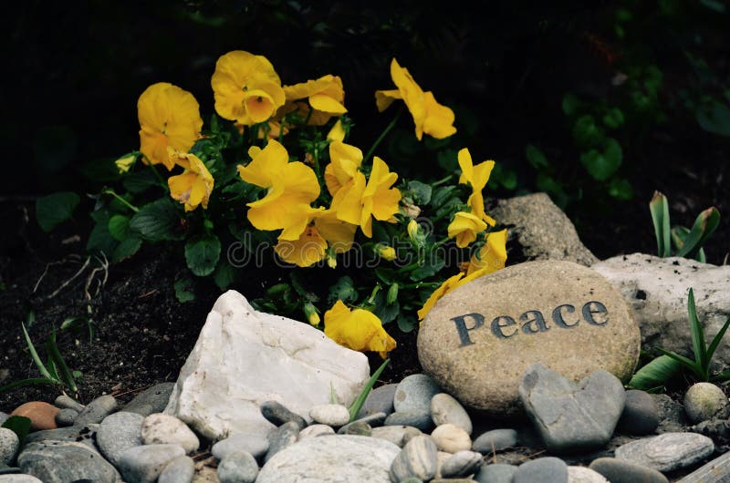 Beautiful Ocean Rocks with Peace Stock Photo - Image of ocean, feeet ...