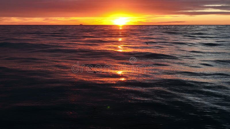 Beautiful Ocean Waves with Sunset Horizon Stock Photo - Image of ...