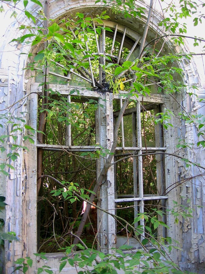 Beautiful Old Patterned Window in an Abandoned House Grow Tree Branches ...