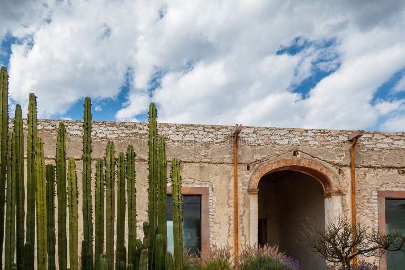 Beautiful Old Rustic Mexican House with Cacti and a Blue Sky of White ...