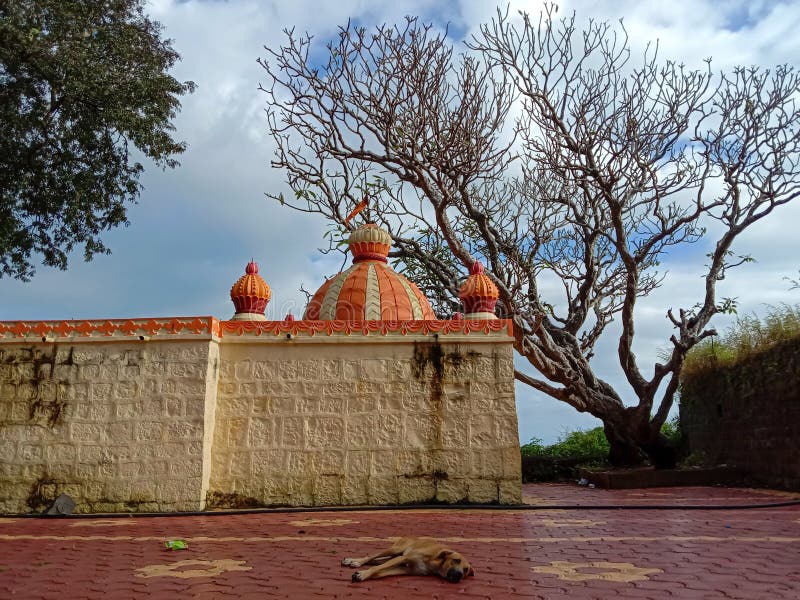 Beautiful Old Temple and Old Tree Stock Photo - Image of plant, castle ...