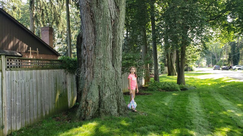 Beautiful Old Tree in the Park Cool Editorial Photography - Image of ...