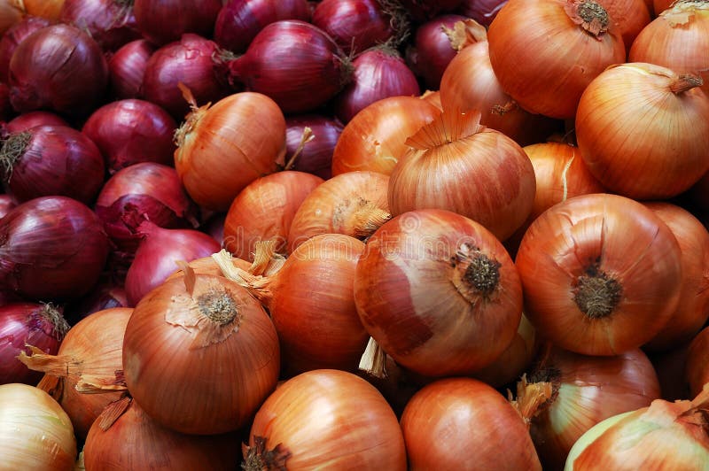 3,234 Beauty Onions Stock Photos - Free & Royalty-Free Stock Photos ...