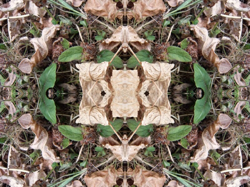 Beautiful Optical Repeat Pattern of Leaves, Foliage and Natural Plant ...