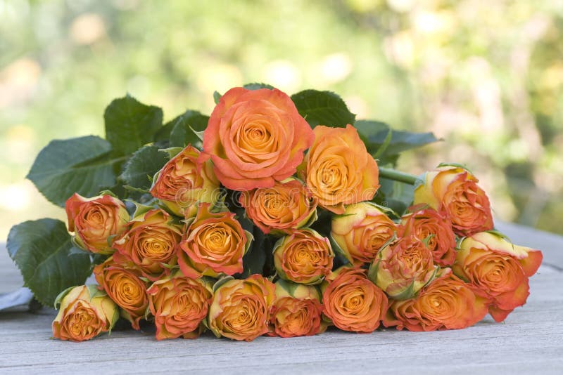 Beautiful Orange Bouquet of Roses on Wooden Table Stock Image - Image ...