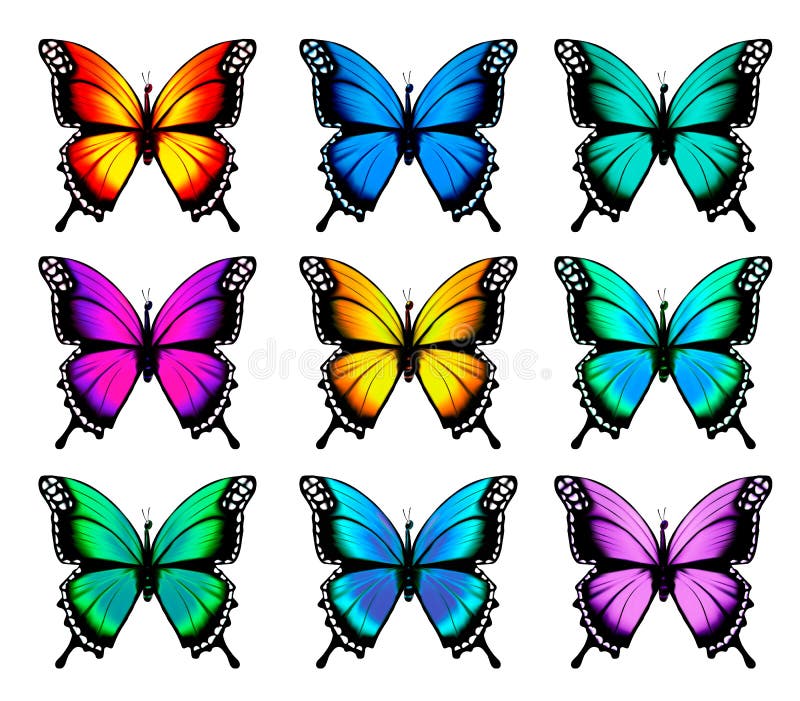 Beautiful Orange Butterfly in Different Positions. Stock Vector ...