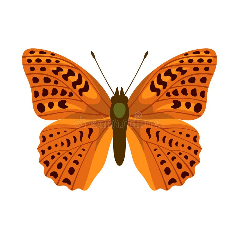Butterfly With Beautiful Spotted Orange Wings Vector Illustration Stock Vector Illustration