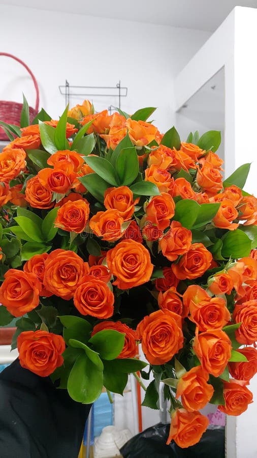Beautiful Orange Mini Roses Stock Image - Image of petal, beautiful ...