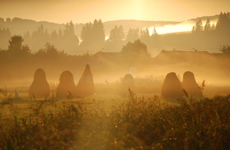 Orange Sunrise stock image. Image of sunrise, orange, sunset - 149025