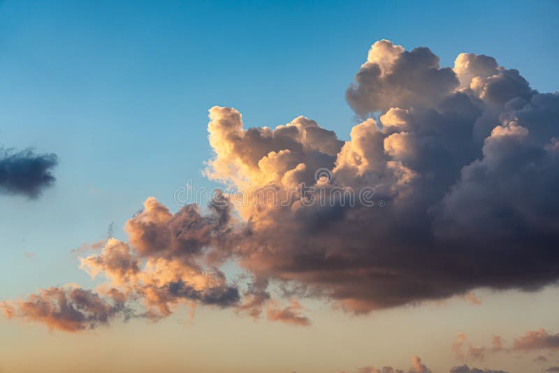 Beautiful Orange Sunset with Backlit Trees As Frame. Stock Image ...
