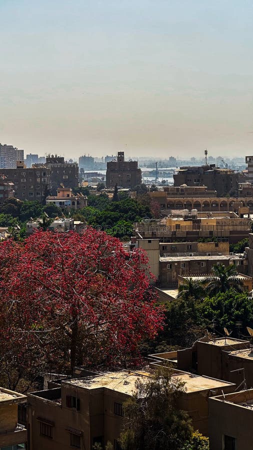 Beautiful Orange Sunset in the Cairo. View from the Rooftop on the ...