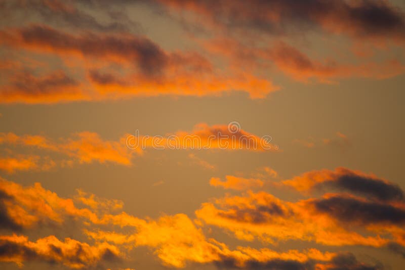 Beautiful orange sunset stock photo. Image of morning - 181053154