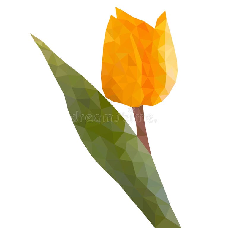 Beautiful Orange Vector Polygon Tulip Stock Vector - Illustration of floral, pattern: 154714502