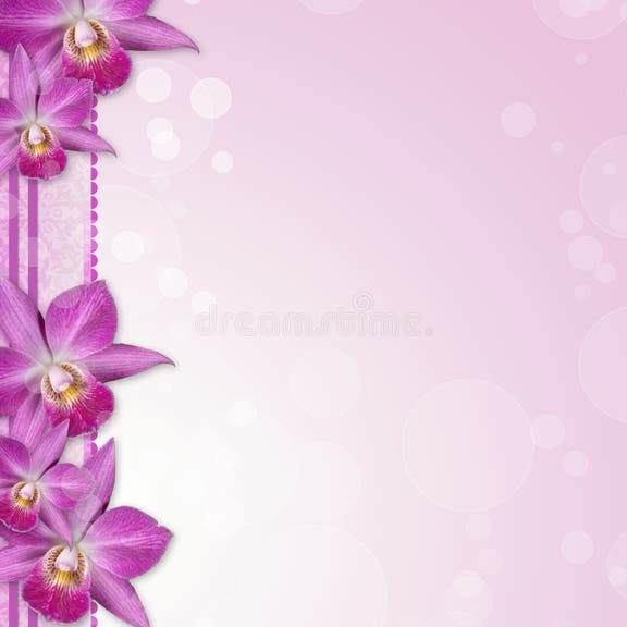 Beautiful Orchid border stock illustration. Illustration of blink ...
