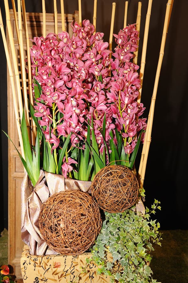 Beautiful Orchid Decoration Stock Image - Image of bouquet, floral ...