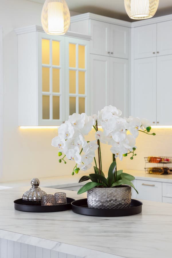 Beautiful Orchid Flowers on White Marble Table in Kitchen. Luxury ...