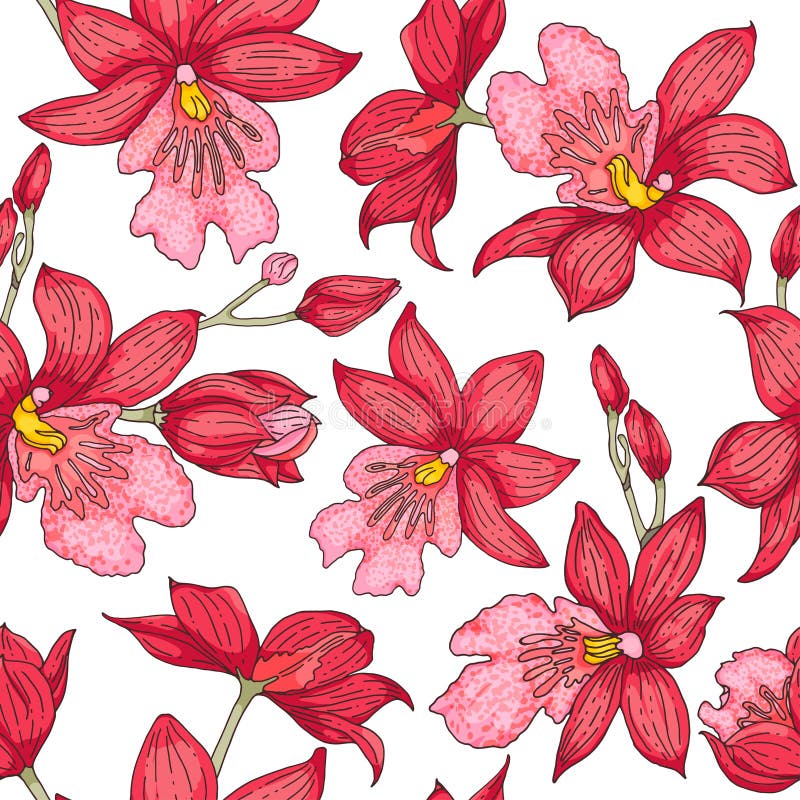 Beautiful Orchid Seamless Pattern on White Background Stock Vector ...