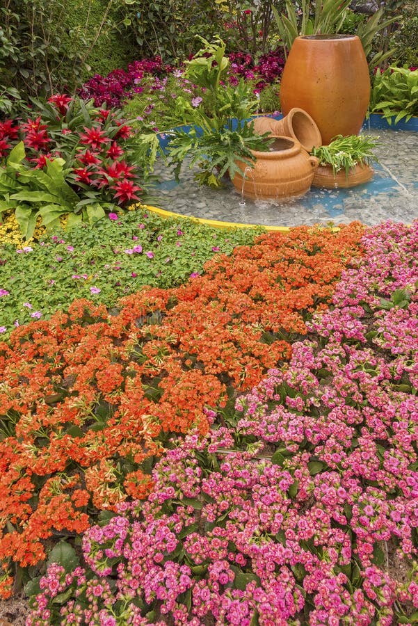 Beautiful Ornamental Plants Tree Tropical Landscape and Flower Stock ...