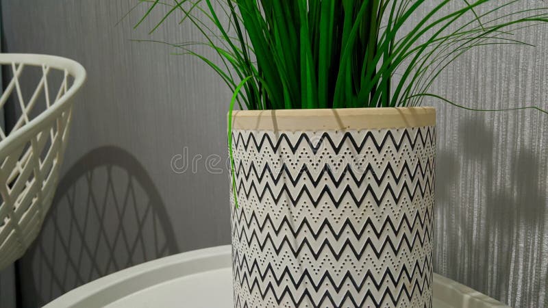 Beautiful Ornamental Plants with Unique Patterns in Their Pots. Stock ...