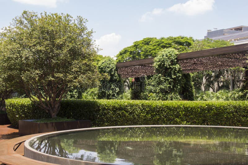 Beautiful Outdoor Square with Trees Stock Image - Image of beautiful ...