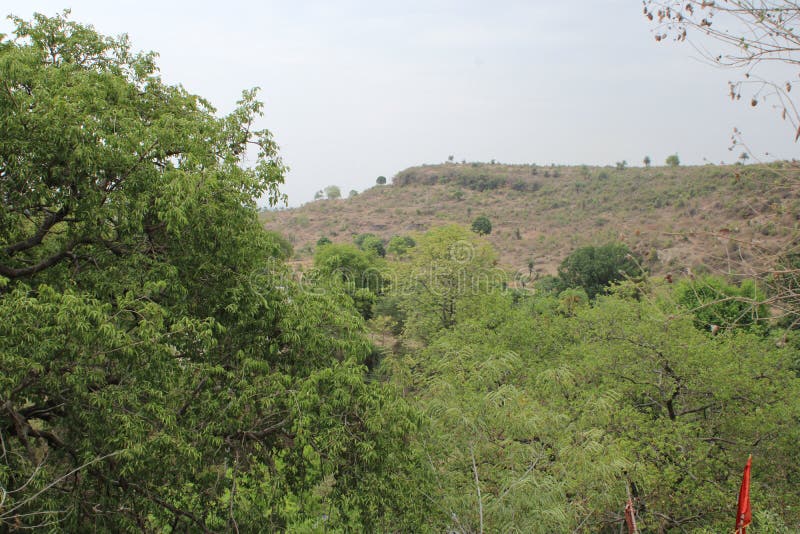 Beautiful Outside Scenery with Beautiful Trees and Natural Background ...