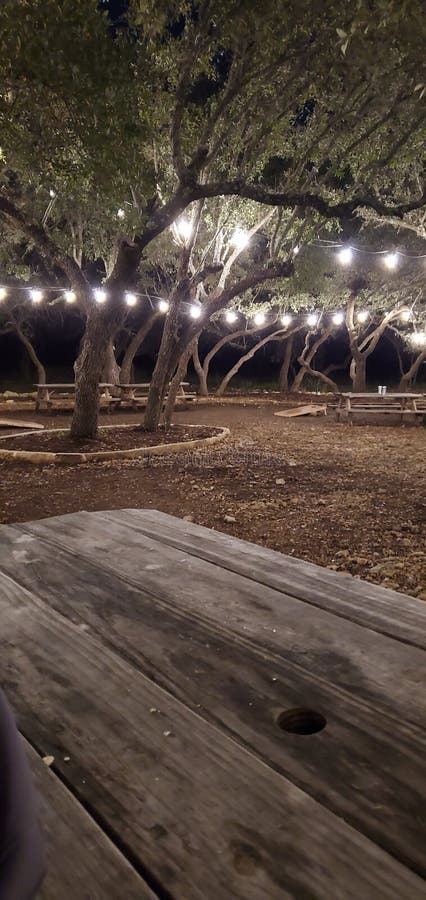 Beautiful outside setting stock photo. Image of trees - 169057272