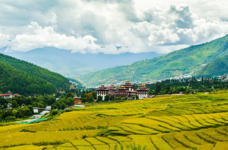 Beautiful Paddy Fields in Bhutan Paro Kingdom during October Stock ...