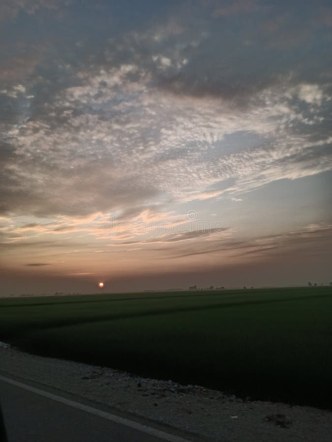 Beautiful Paddy View at Sekinchan, Selangor in the Morning Stock Photo ...