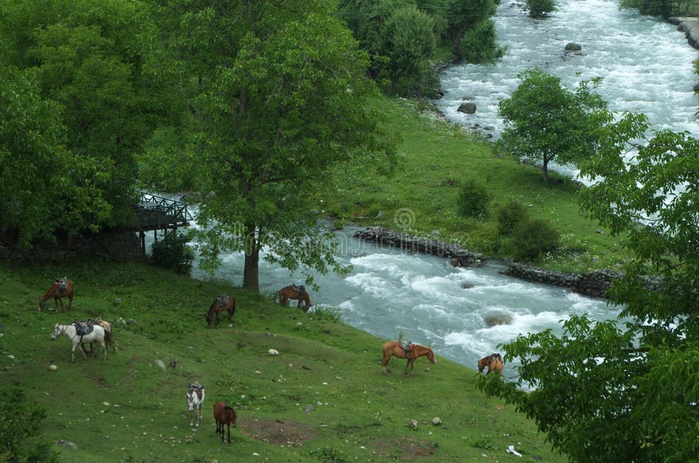 Beautiful Pahalgam Scene-3 stock photo. Image of river - 95631326