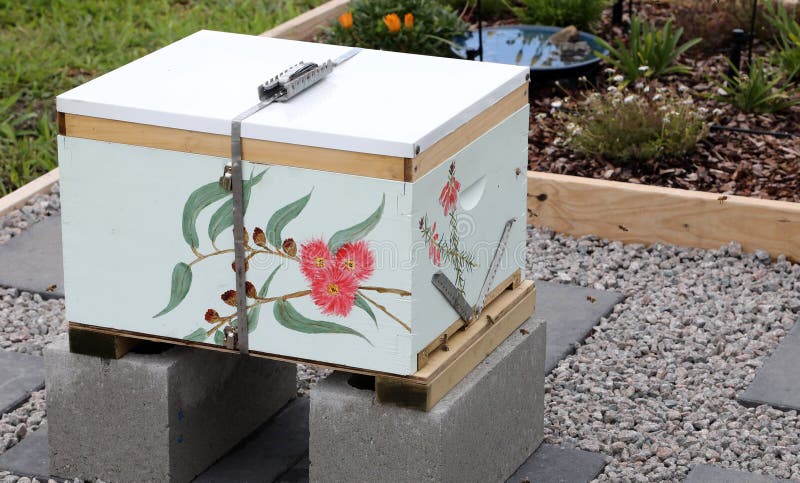 Beautiful Painted Bee Hives Stock Image - Image of insect, australia ...