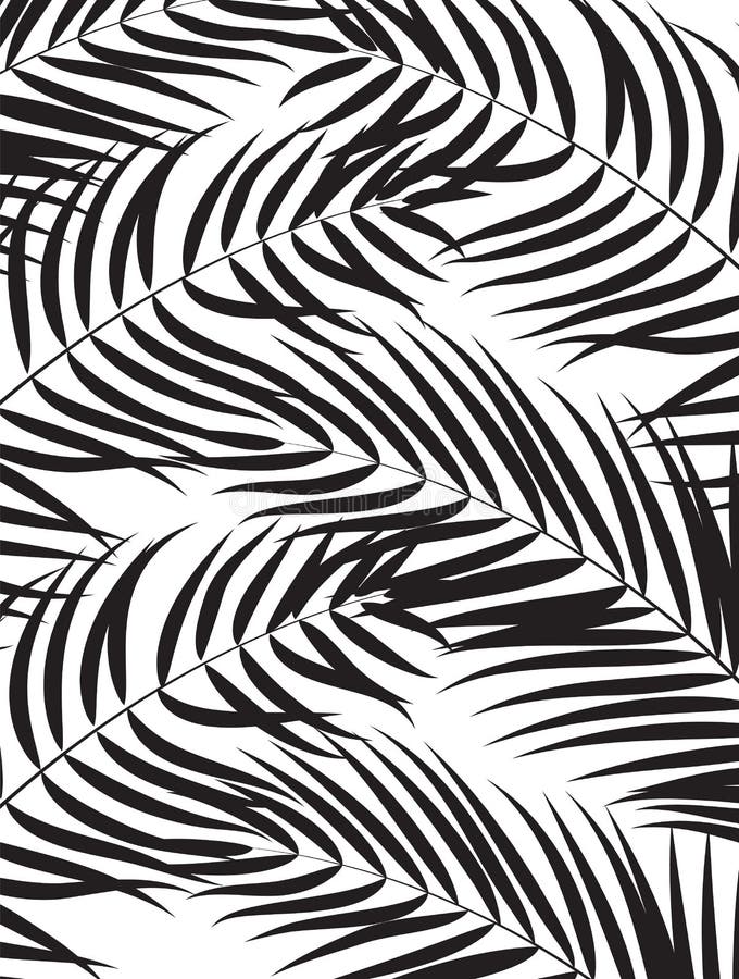 Beautiful Palm Tree Leaf Silhouette Background Vector Stock Vector ...