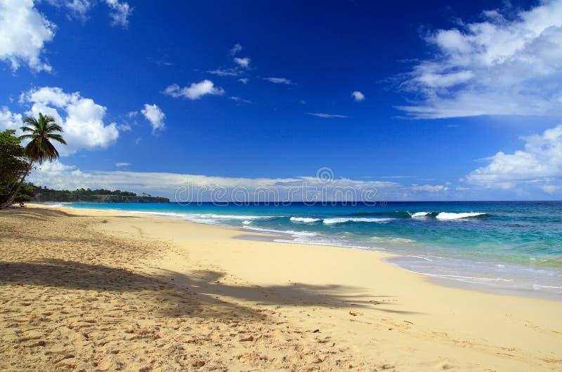Short Point Beach in Australia Stock Photo - Image of holiday ...