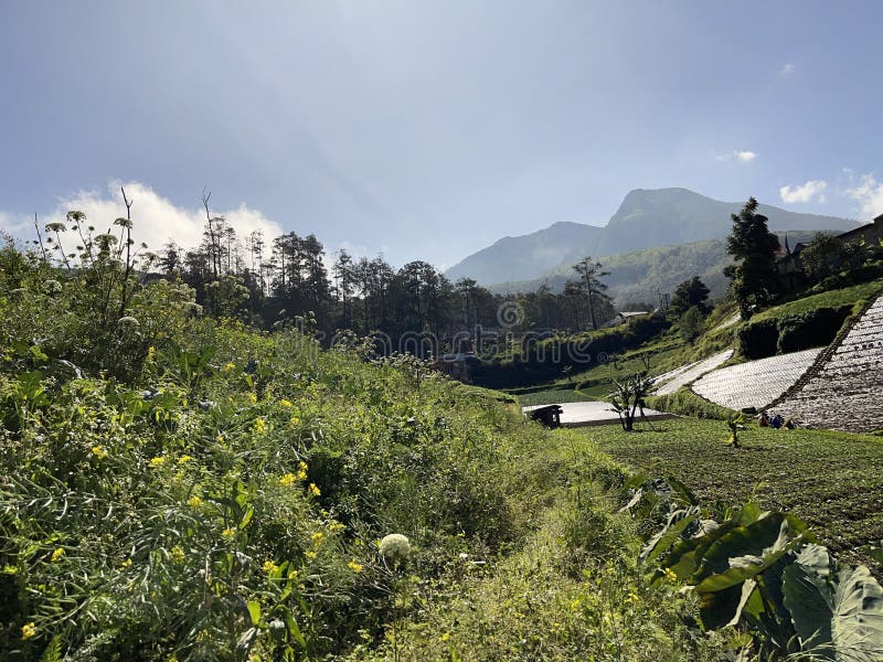 Beautiful Panoramic View of the Mountain and Green Fields, Lovely ...