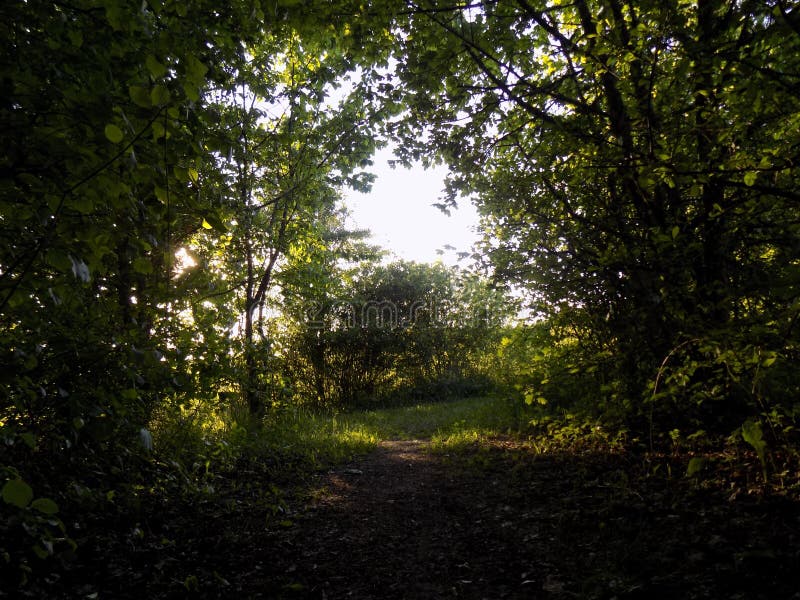 A beautiful parc stock photo. Image of nature, light - 147651460