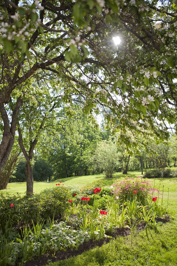 Beautiful park stock image. Image of natural, park, beautiful - 26566949