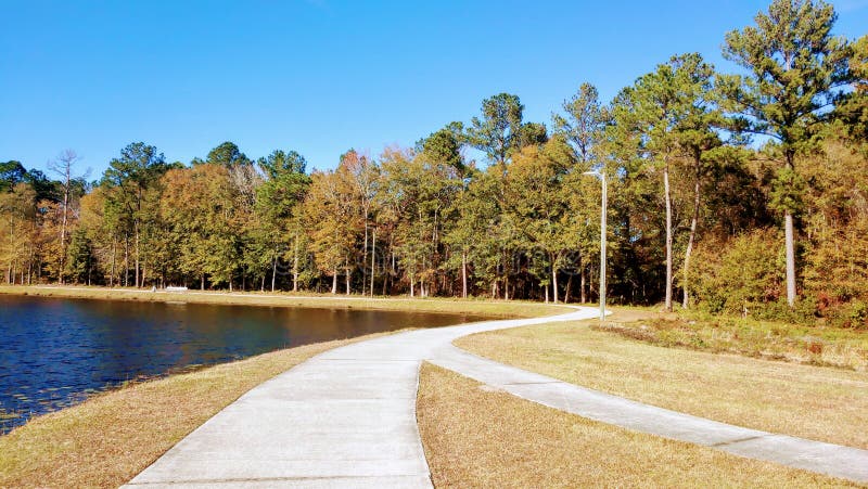 Beautiful park around stock image. Image of landscape - 259038887